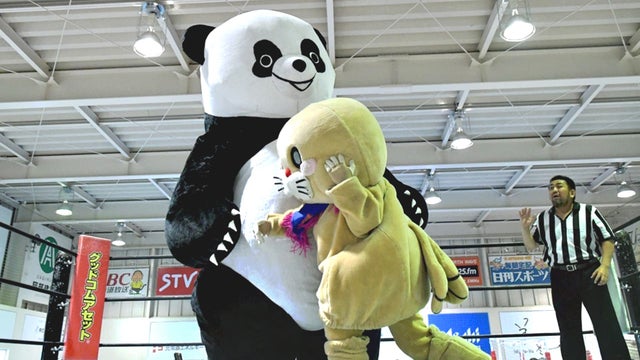 Pokotan | WRESTLE UNIVERSE