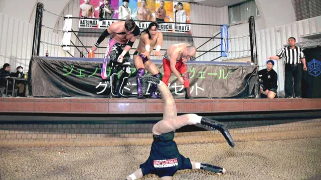 Pokotan Profile | Streaming Matches of Pokotan! Watch Pro Wrestling on ...