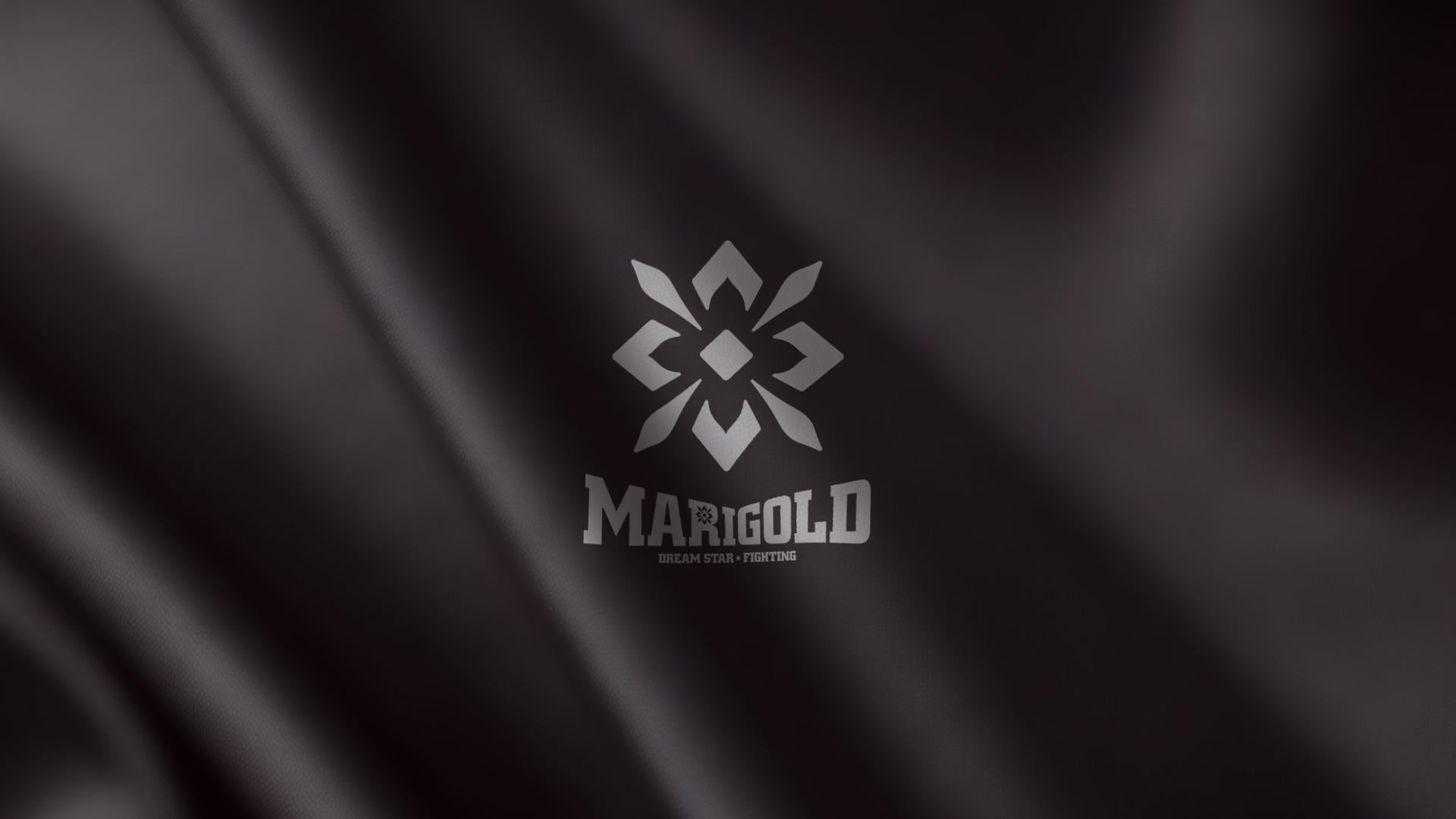 Marigold・"~1st Anniversary Series~ MARIGOLD Burning Desire 2025｜06.28" | Match Video Streaming ...