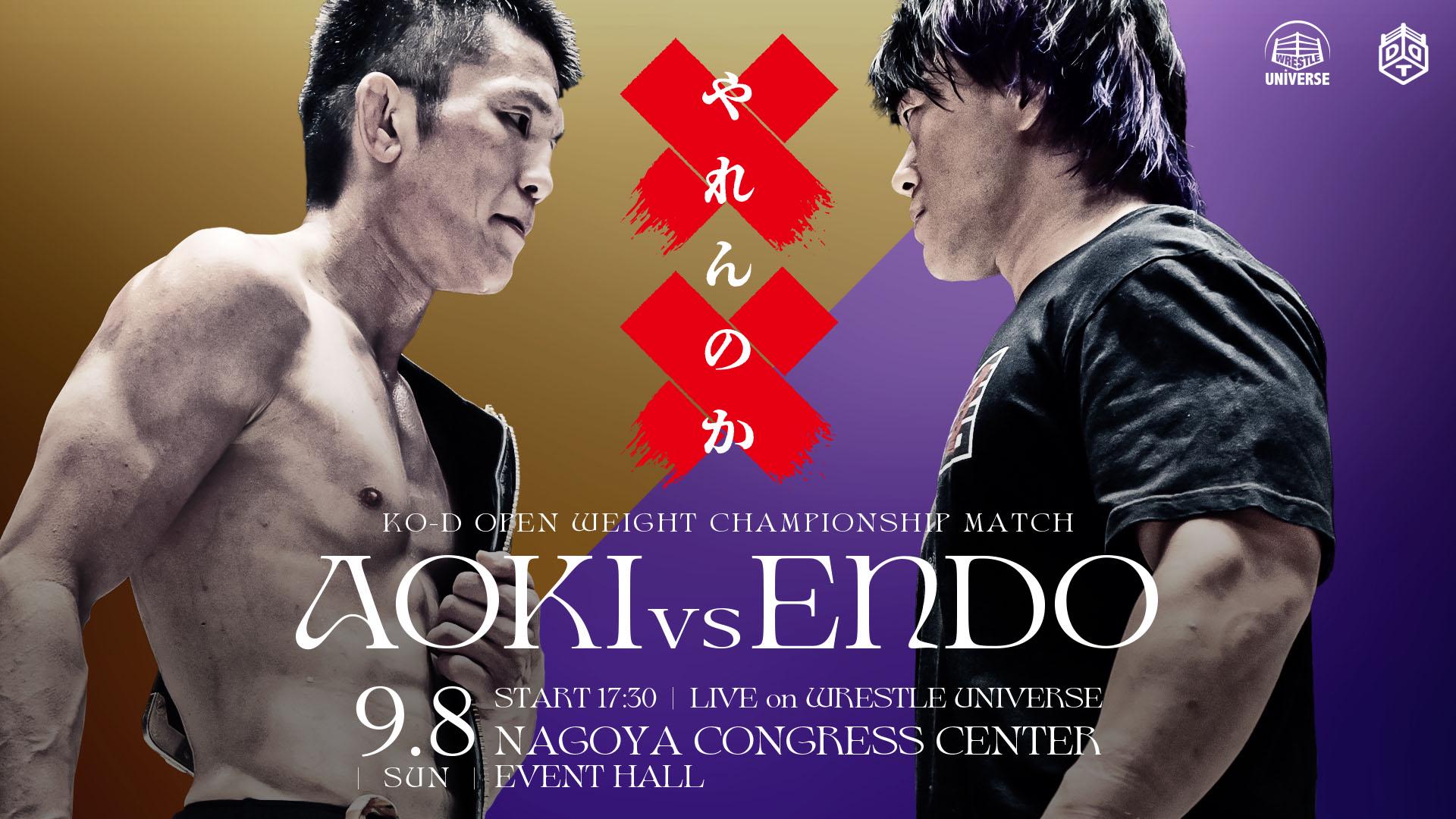 DDT・"Friendship, hard work, victory in NAGOYA 2024" | Live Streaming・On-Demand Streaming ...