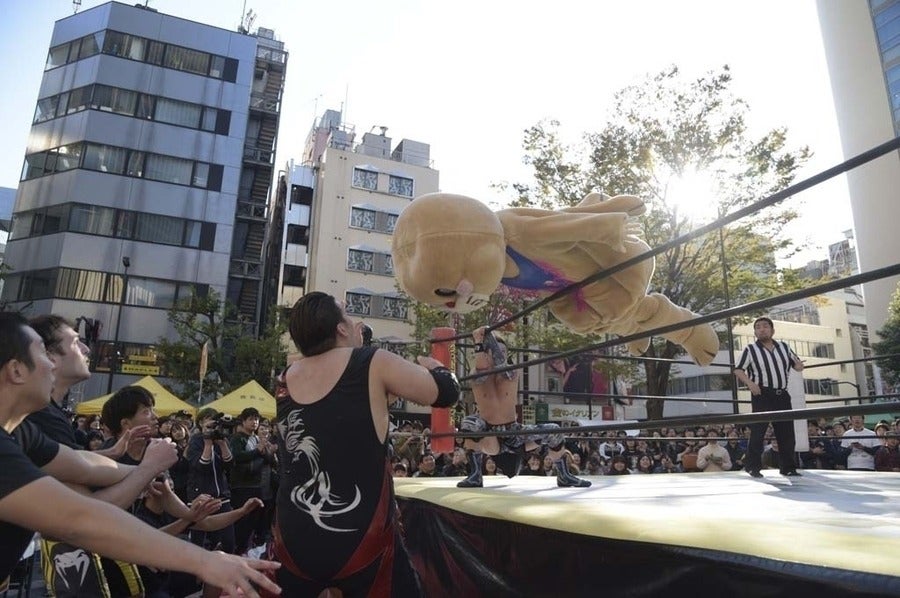 POKOTAN | WRESTLE UNIVERSE