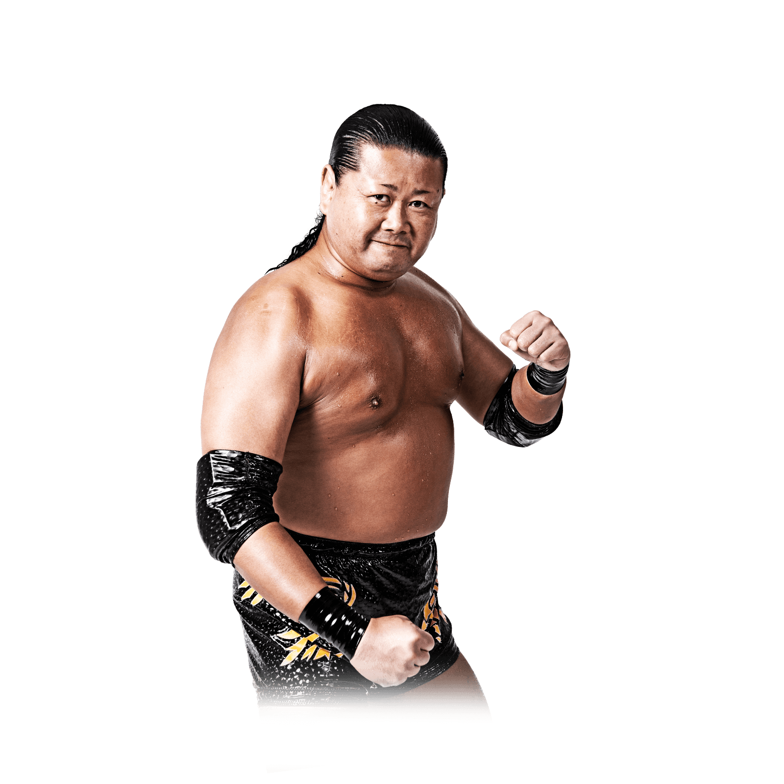 TORU OWASHI | WRESTLE UNIVERSE