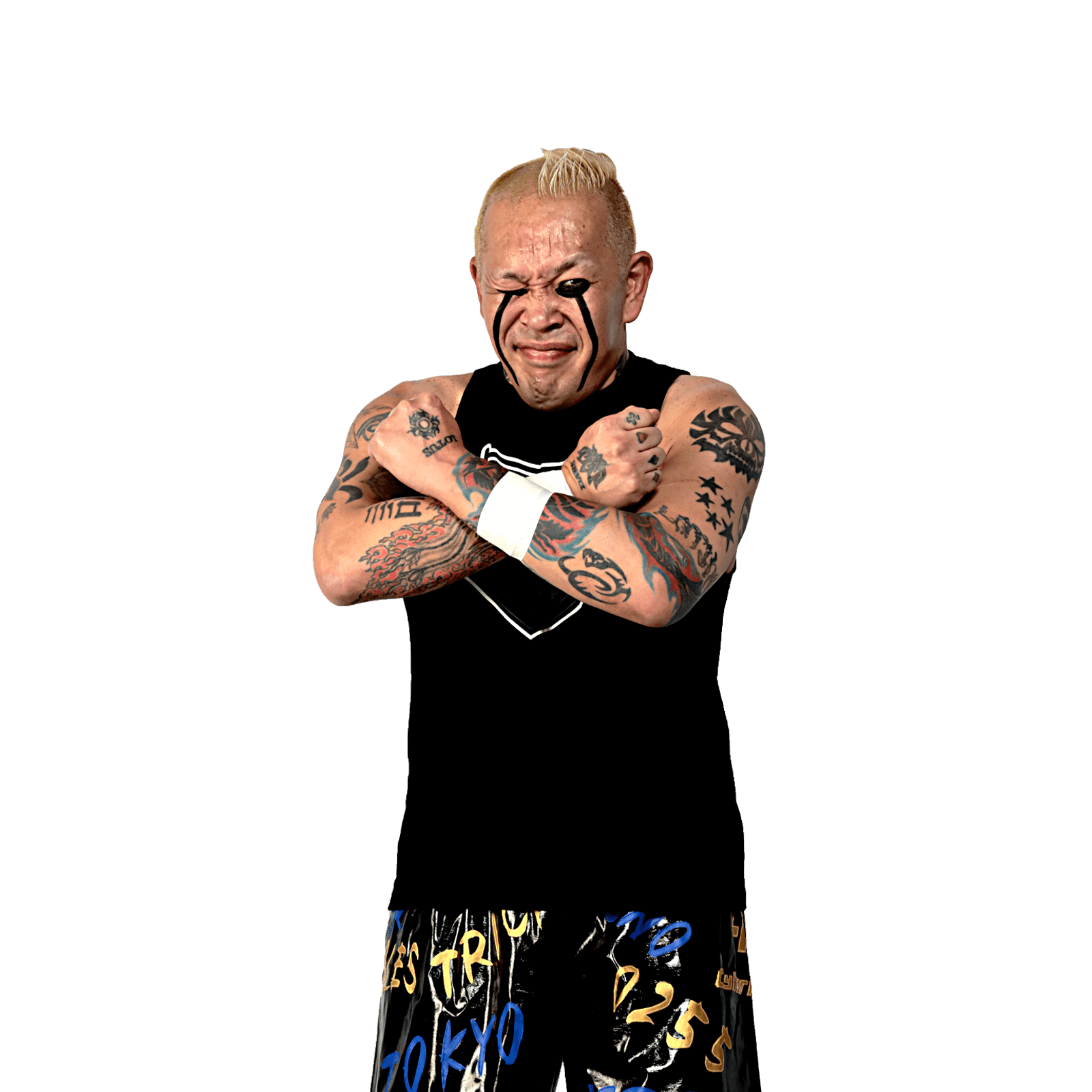 NOSAWA RONGAI | WRESTLE UNIVERSE