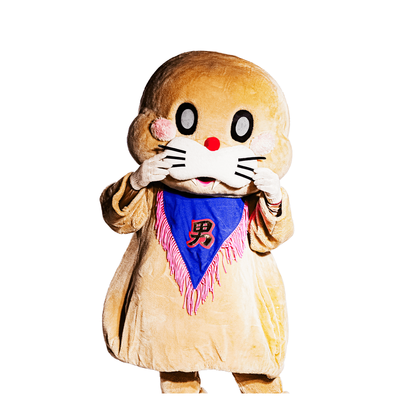 POKOTAN | WRESTLE UNIVERSE